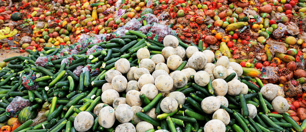 How Powering Food Storage Could End Hunger - Africa Sustainability Matters