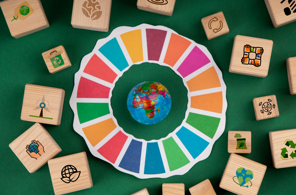 How companies can drive real impact through strategic SDG priorities ...