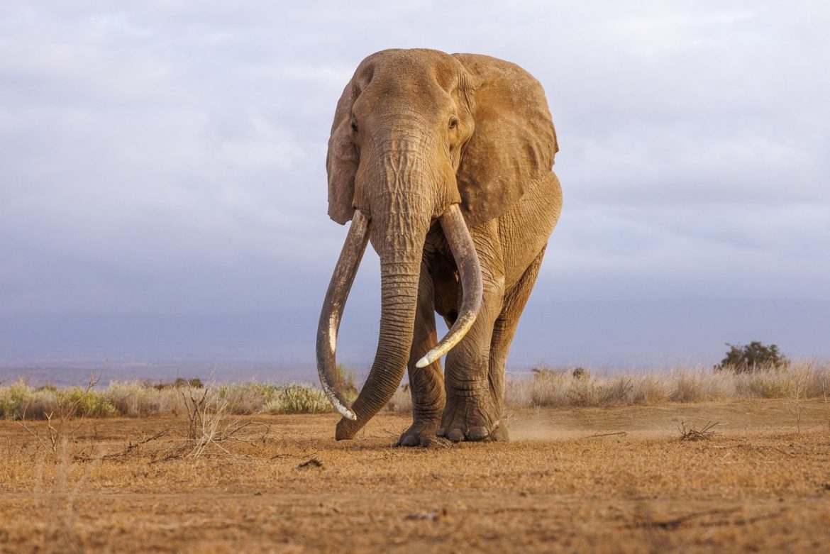 How weak farm-level data is undermining global climate targets in ...